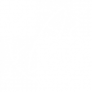 Scouts | Notts Scouts Adventure